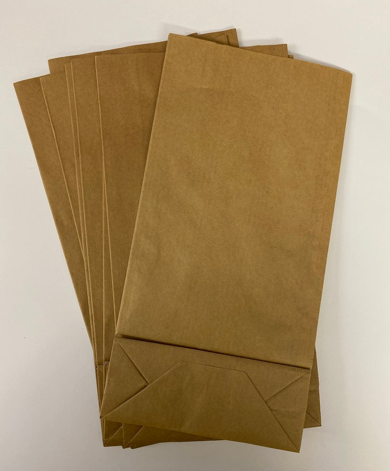 Pack of 10 Brown Paper Gift Bags – The Indian Block Print Co.